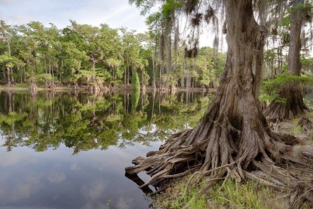 Exciting Updates from Florida: New Hunting Rules and Modernized ...