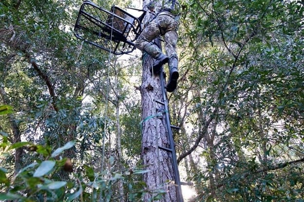 Exciting Updates from Florida: New Hunting Rules and Modernized ...